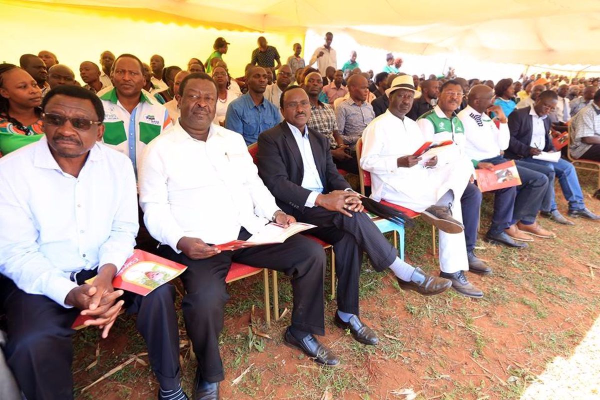 Jubilee MP Frog marched in front of Odinga