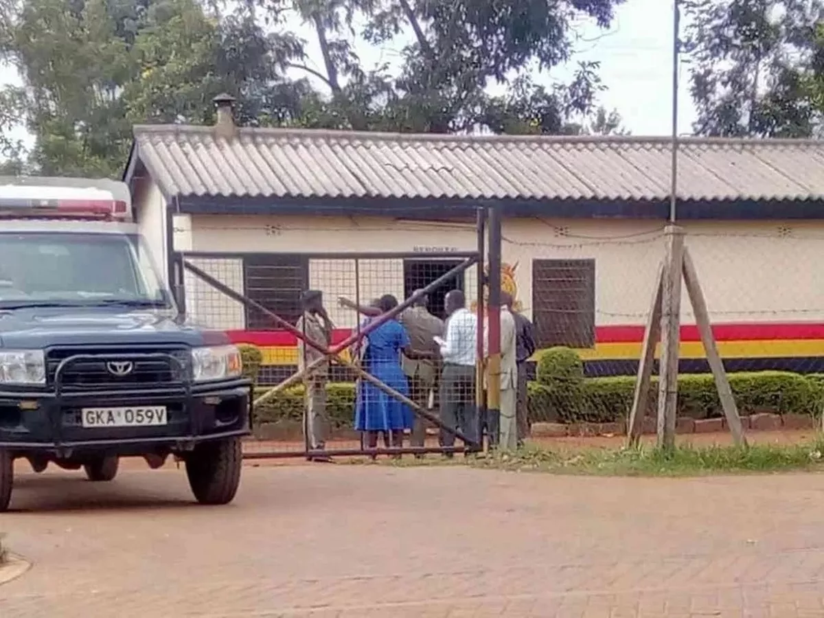 Confirm gang enjoys protection from local politician, residents say