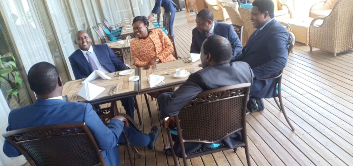 Four prominent politicians who accompanied Raila to DR Congo
