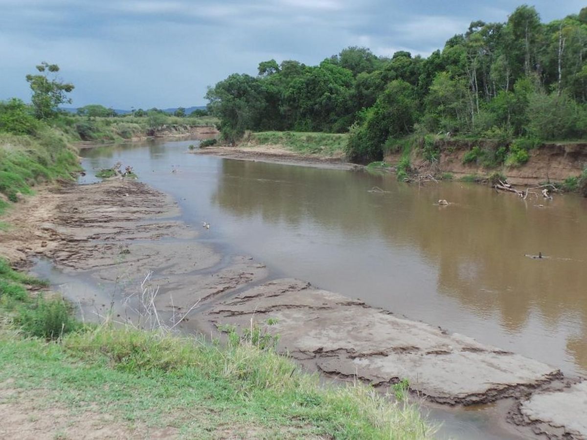 Sh300 million sewer system erected to conserve Mara river