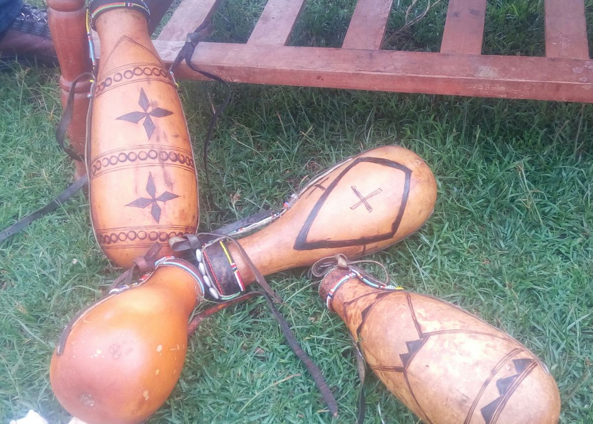 These are the two tree species used to preserve 'sotet', the Kalenjin guard