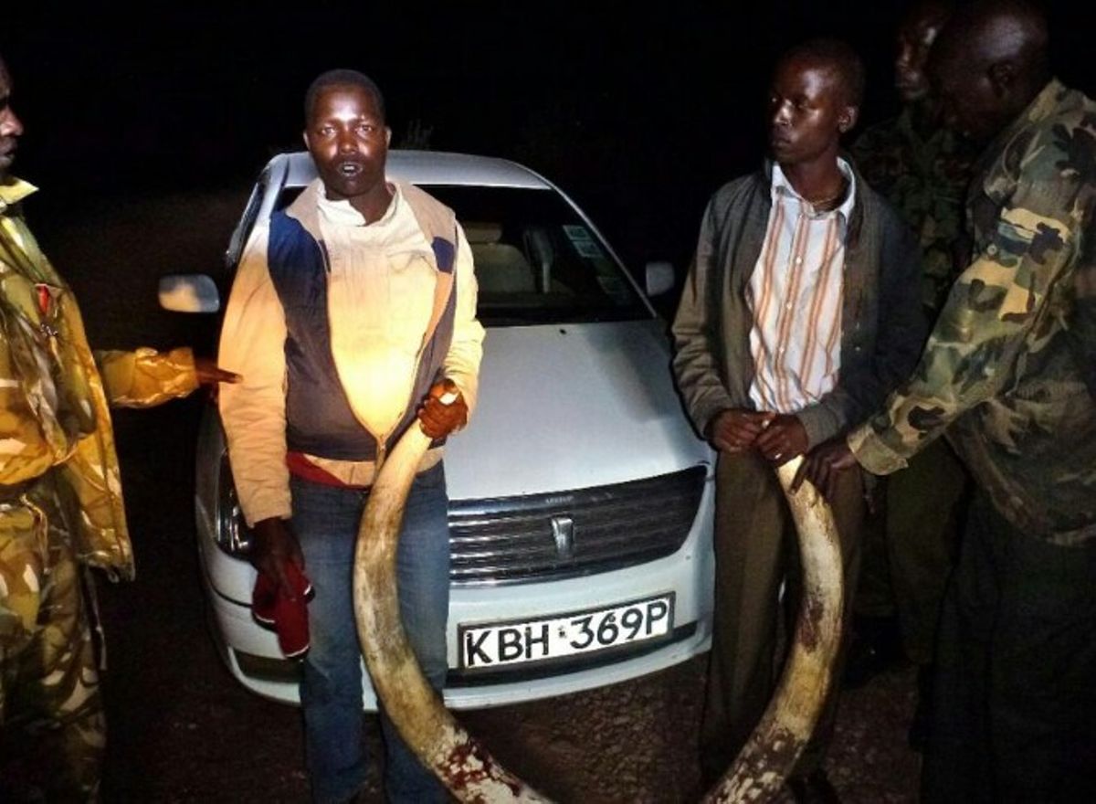 Two sentenced to life for ivory trafficking