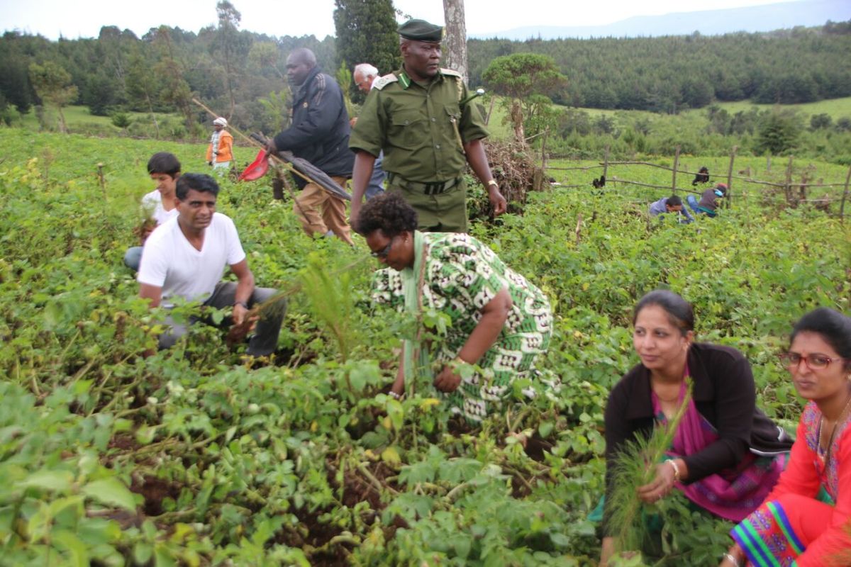 How Hindu community is helping the country to achieve 10% forest cover