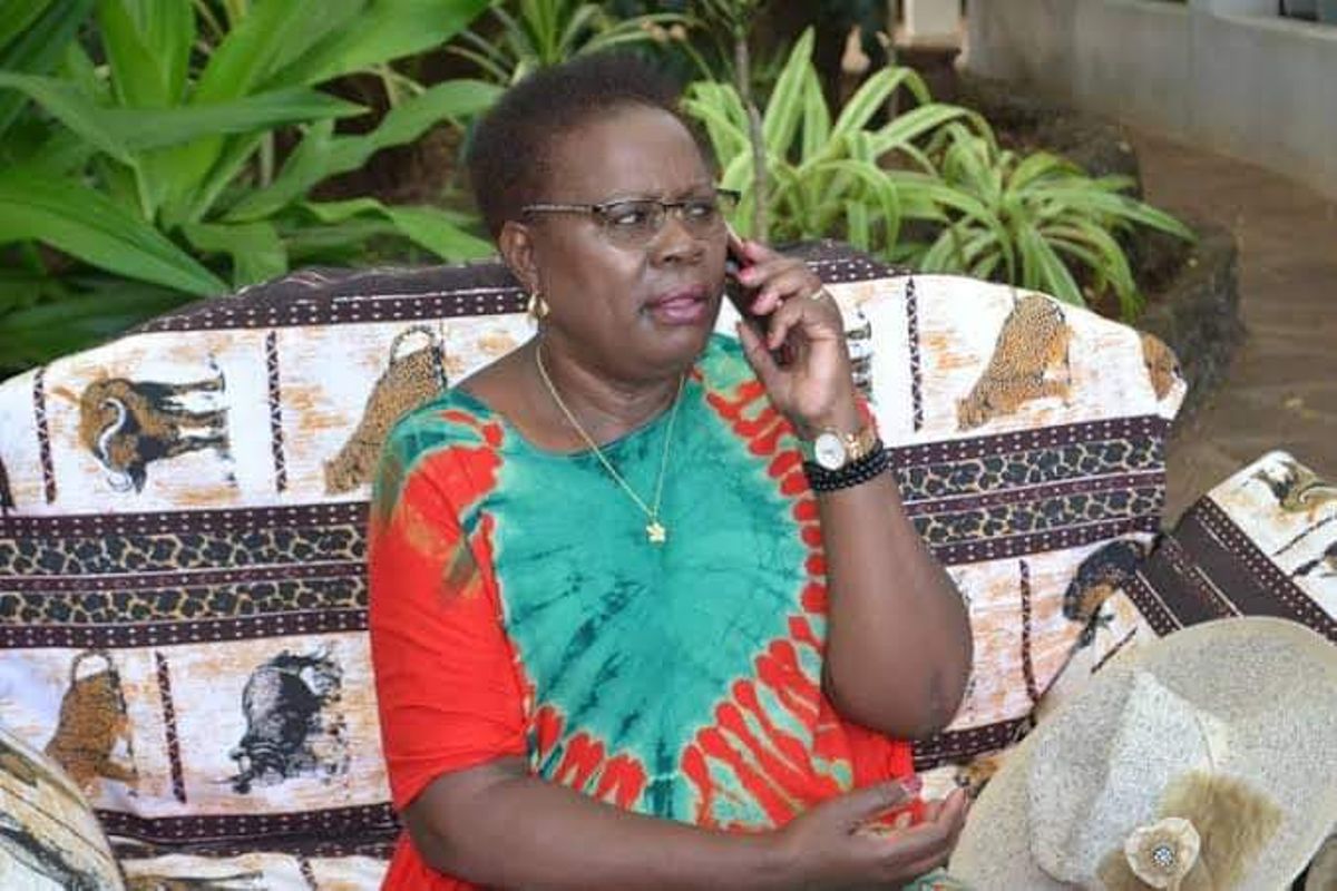 Donald Kipkorir questions Alice Wahome's understanding of the law