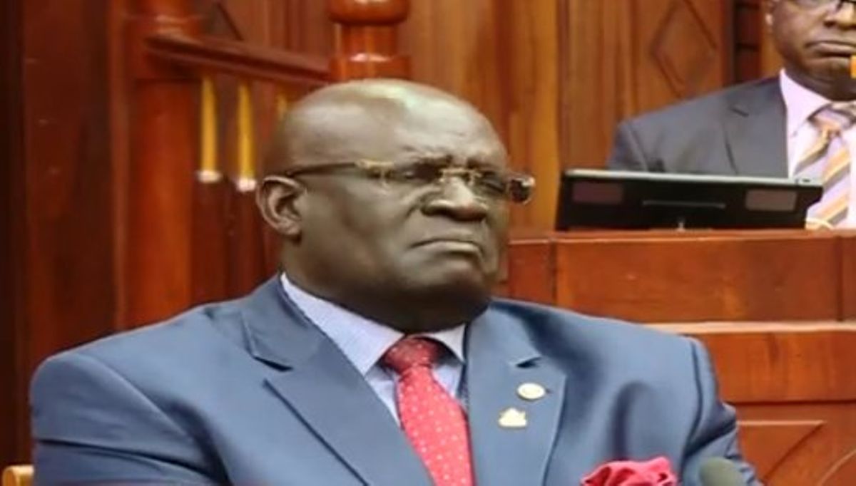 Prof. Magoha loses cool after MP's question during vetting