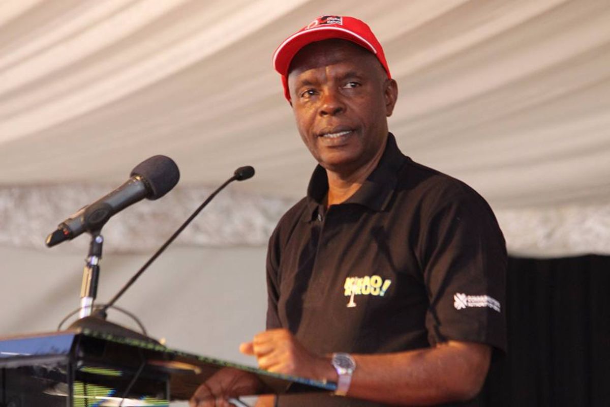 Who is Kibwana 'grooming' as his 2022 successor?