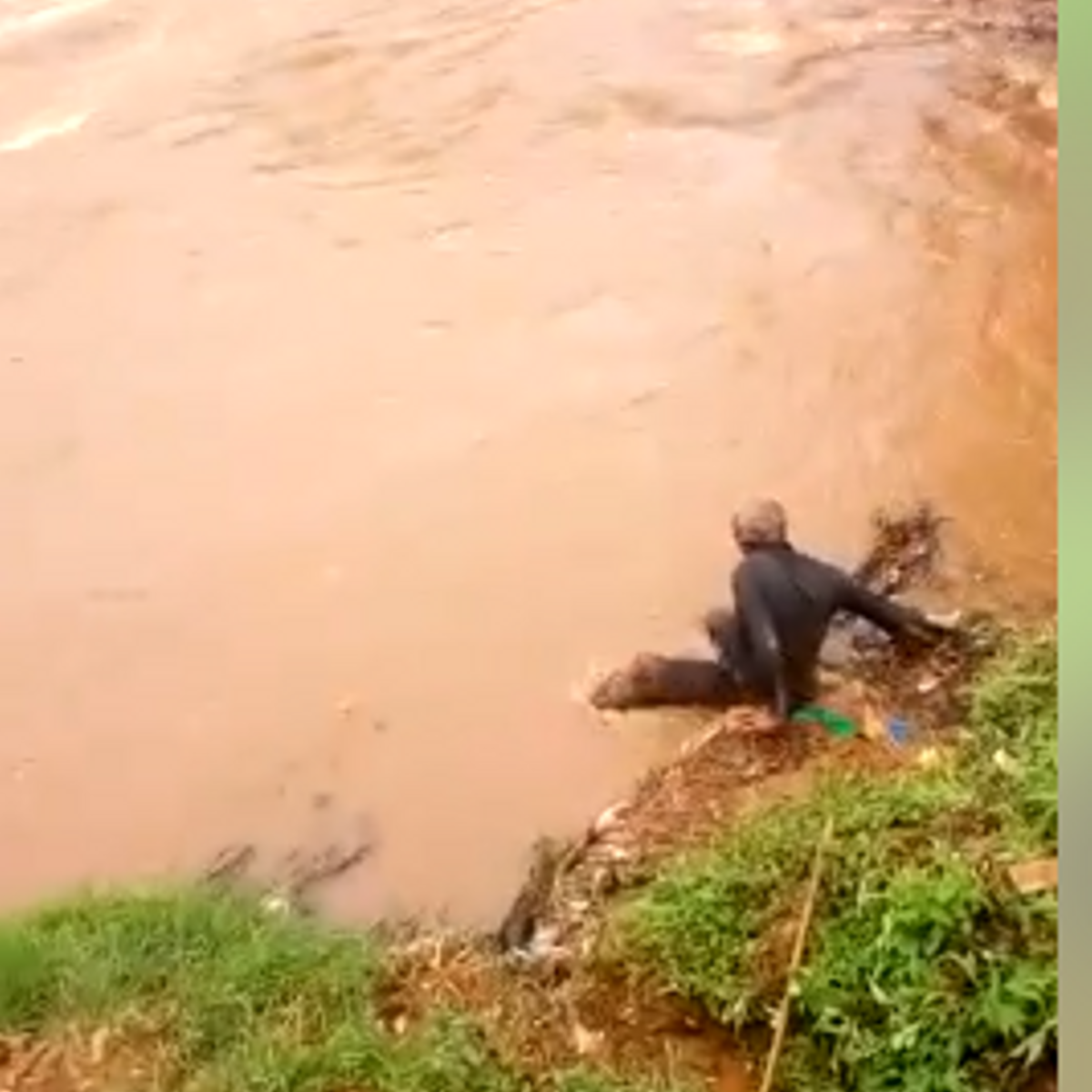 Video: Shock as man drowns while crowd cheers him on