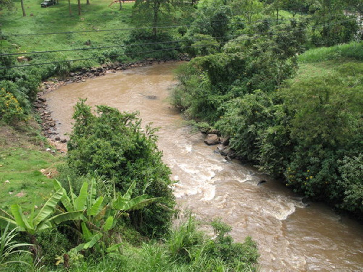 Man drowns after falling into River Gucha