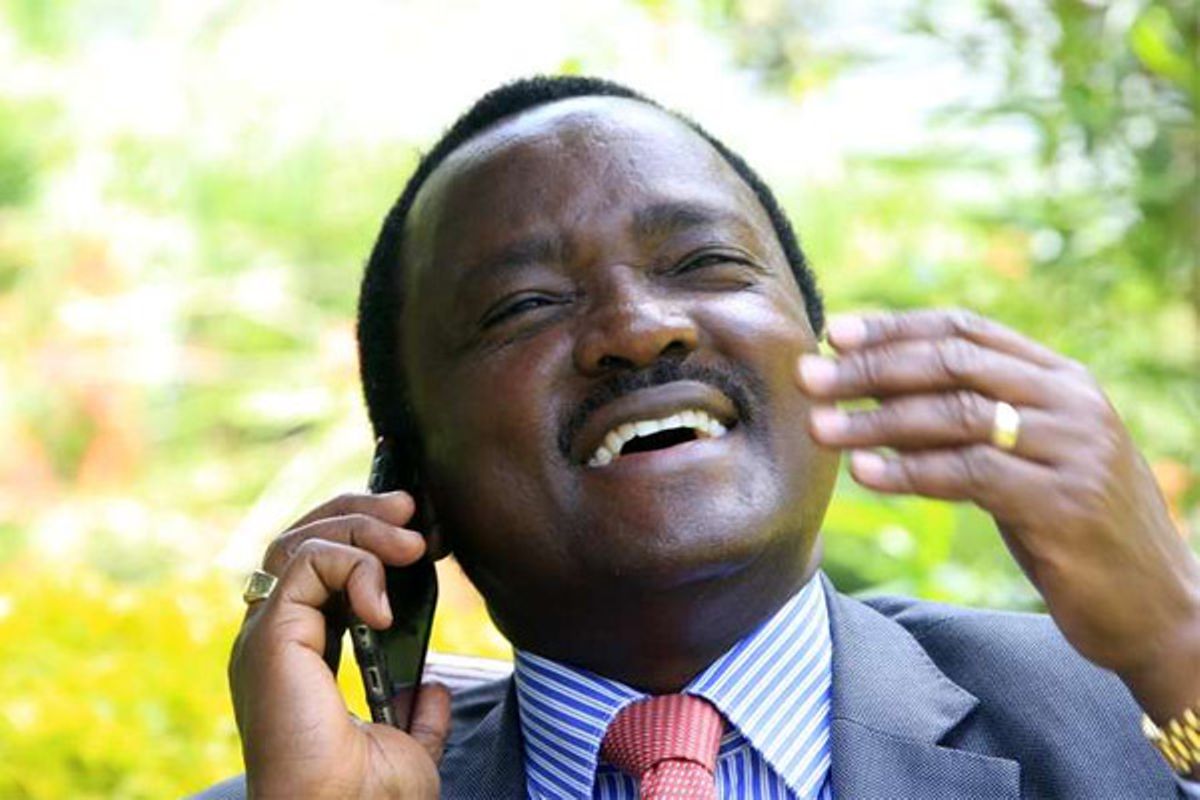 Revealed: Kalonzo’s favorite American artist