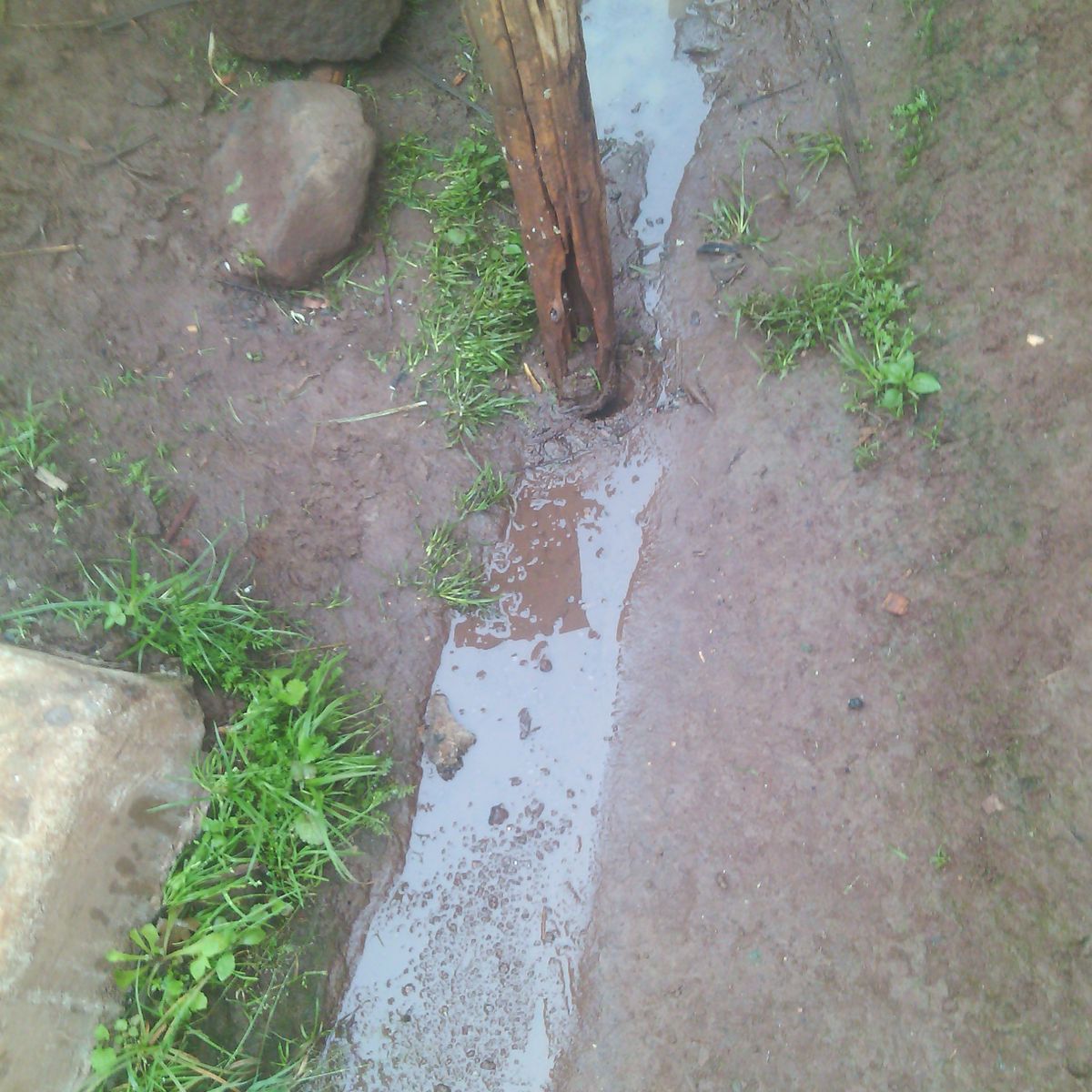Gachagi residents decry poor sanitation Gachagi residents decry poor sanitation