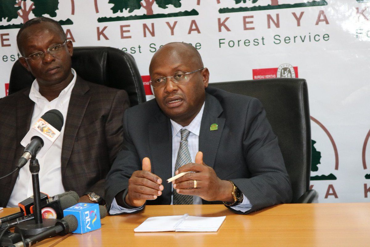 Environmentalists laud changes in forest management