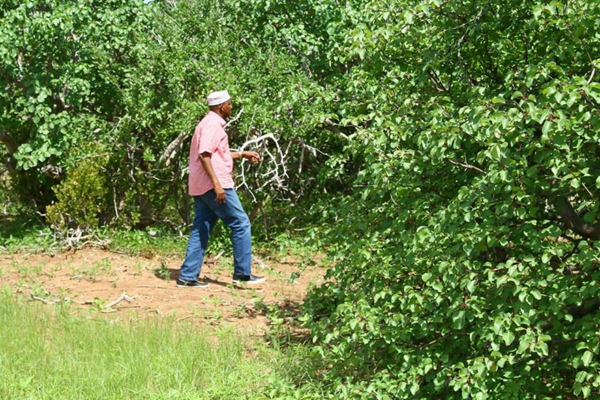 Duale's warning shot to Raila, NASA after 'golden' handshake