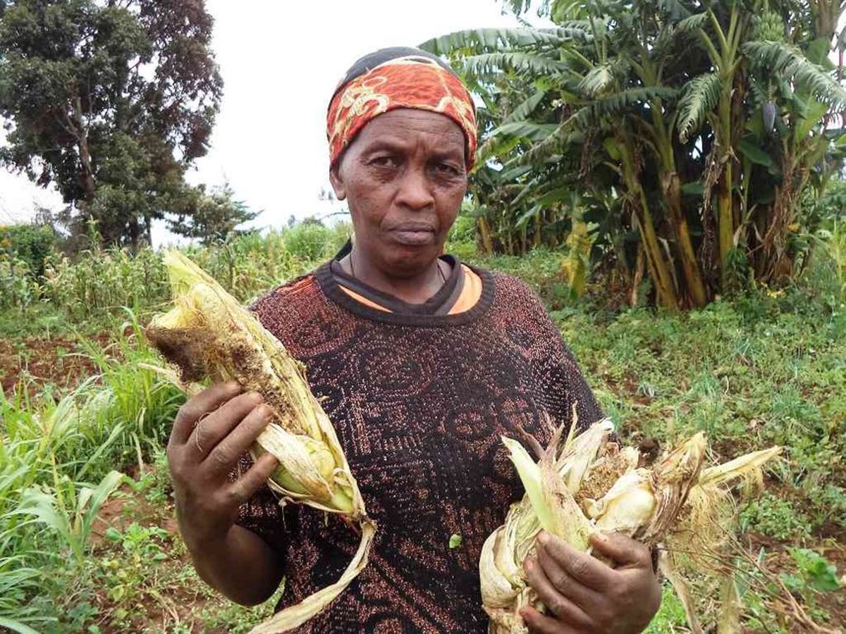 Why some women in Lari, Kiambu can no longer wear skirts, dresses