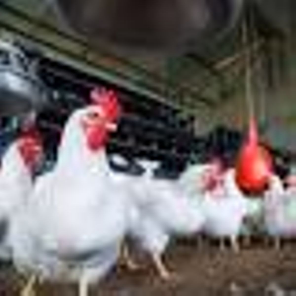 Matuu farmers advised on new methods of farming