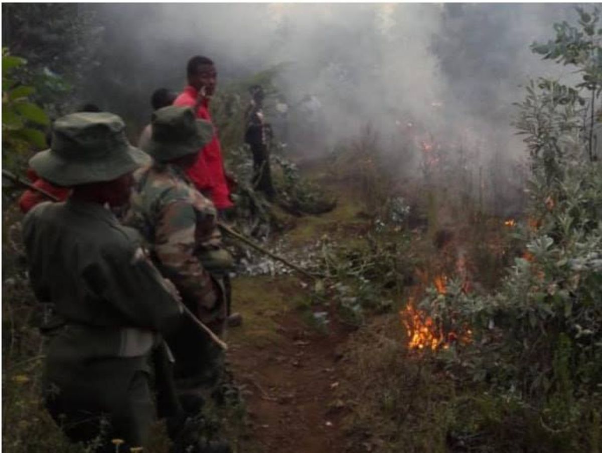 Acres of forest destroyed by fire at crater