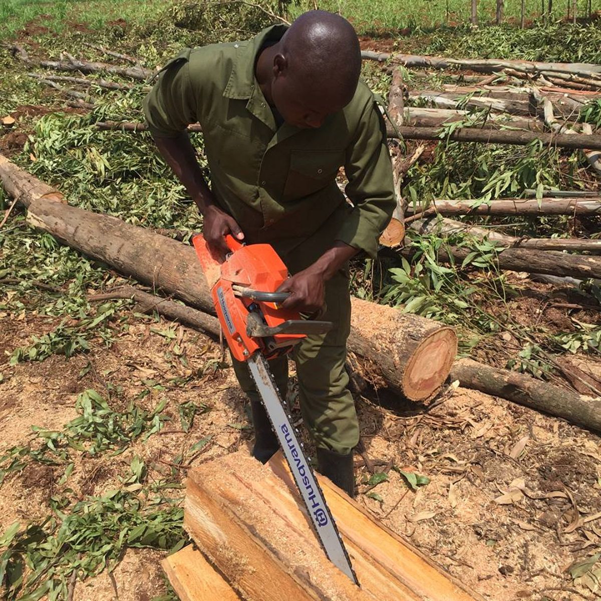 10 loggers arrested in crackdown following ban