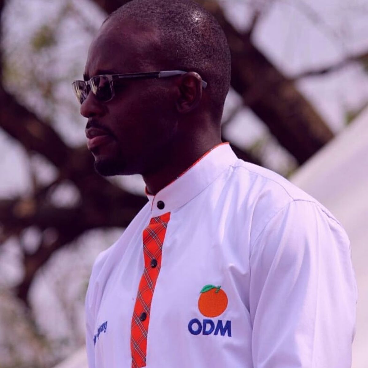 Moses Kajwang explains why Senate committee refused to grill Samburu ...