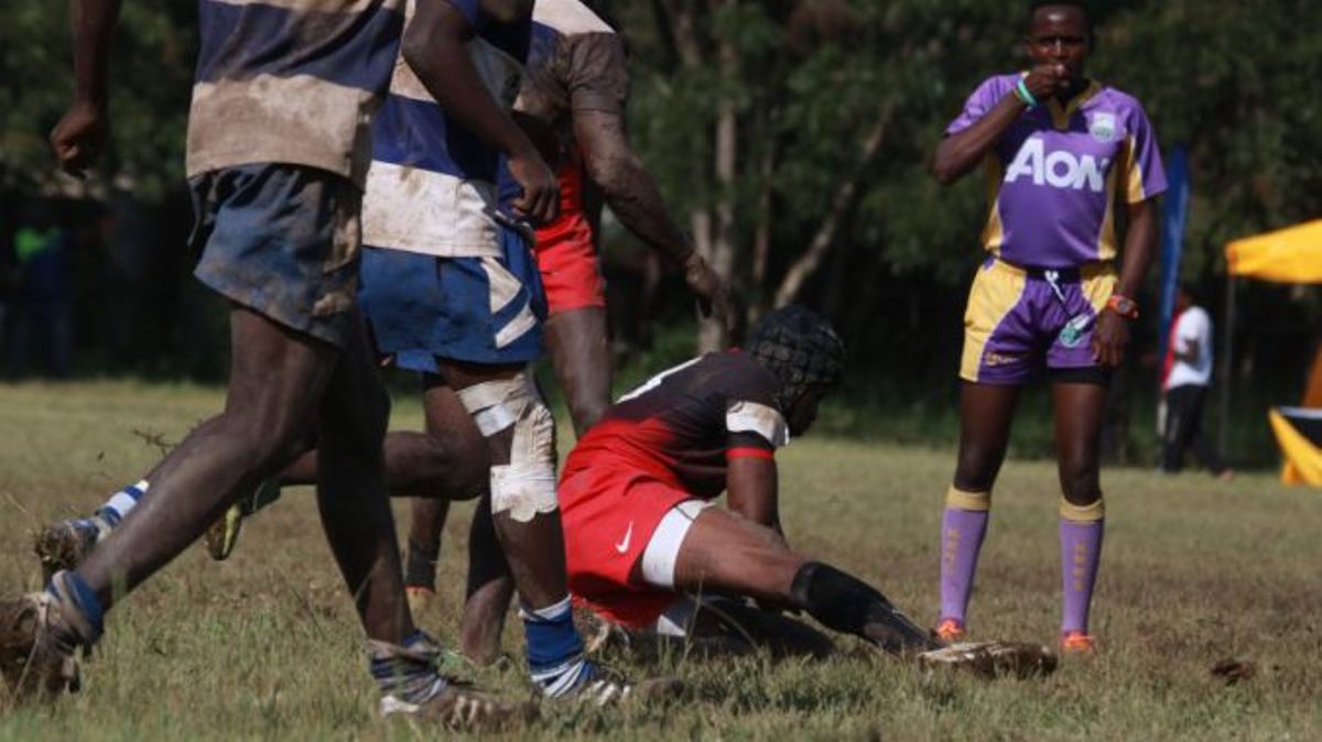 Rugby union expands judicial panel