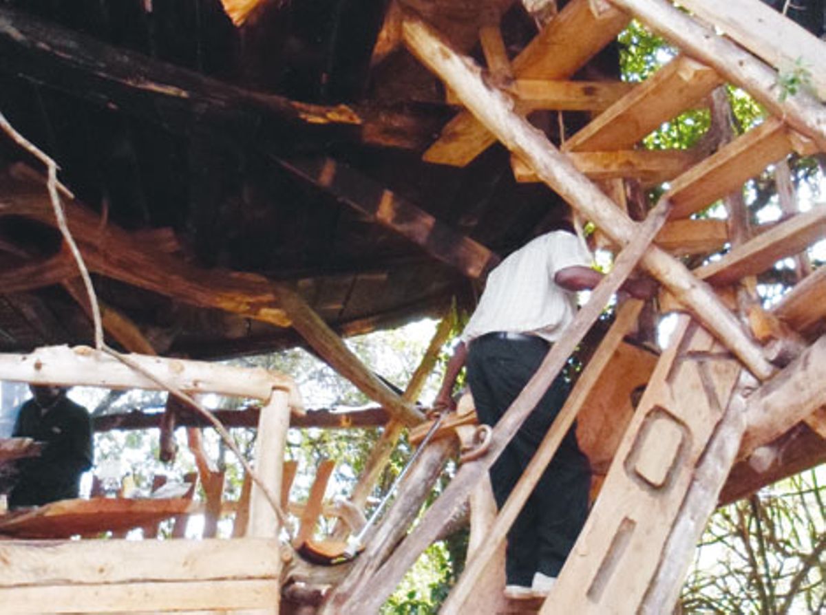Meet a man who lives on top of a tree