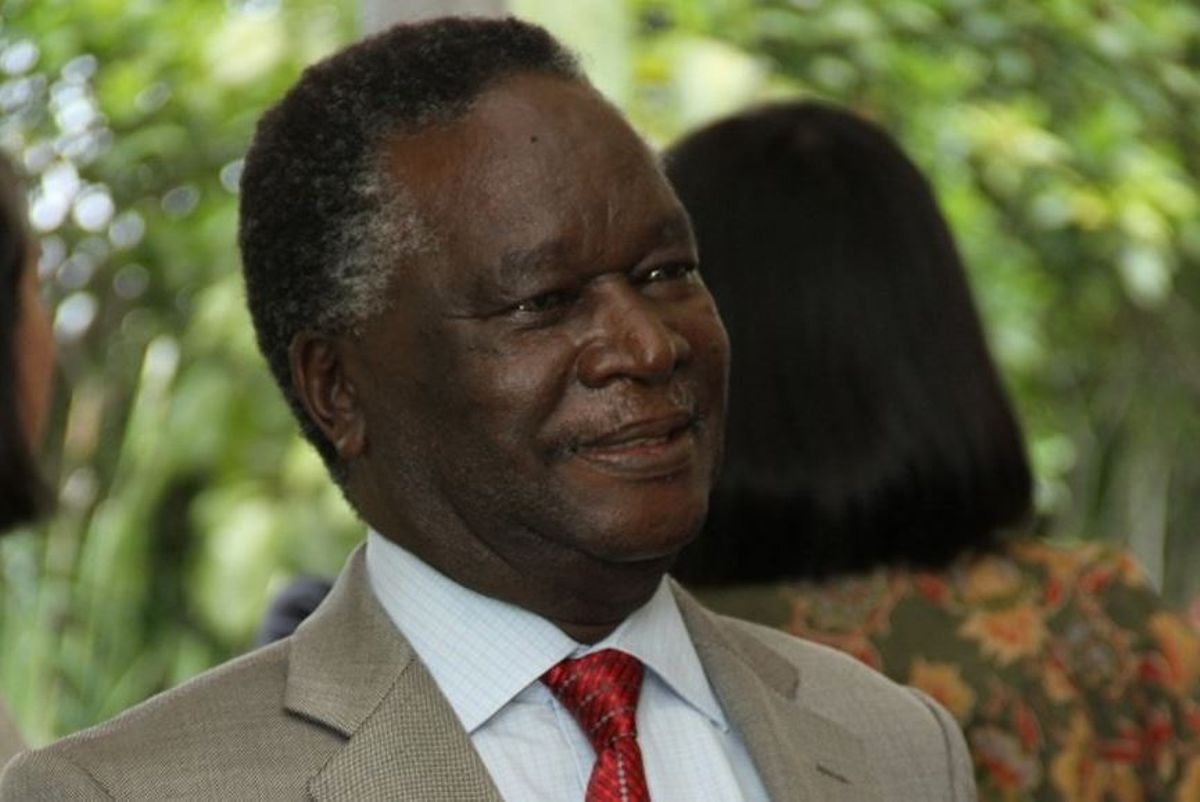 Court blocks Biwott's family from accessing assets