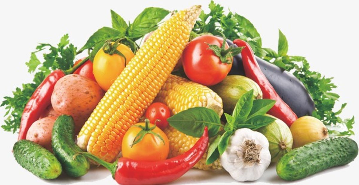 4 Foods That Help Fight HIV 4 Foods That Help Fight HIV