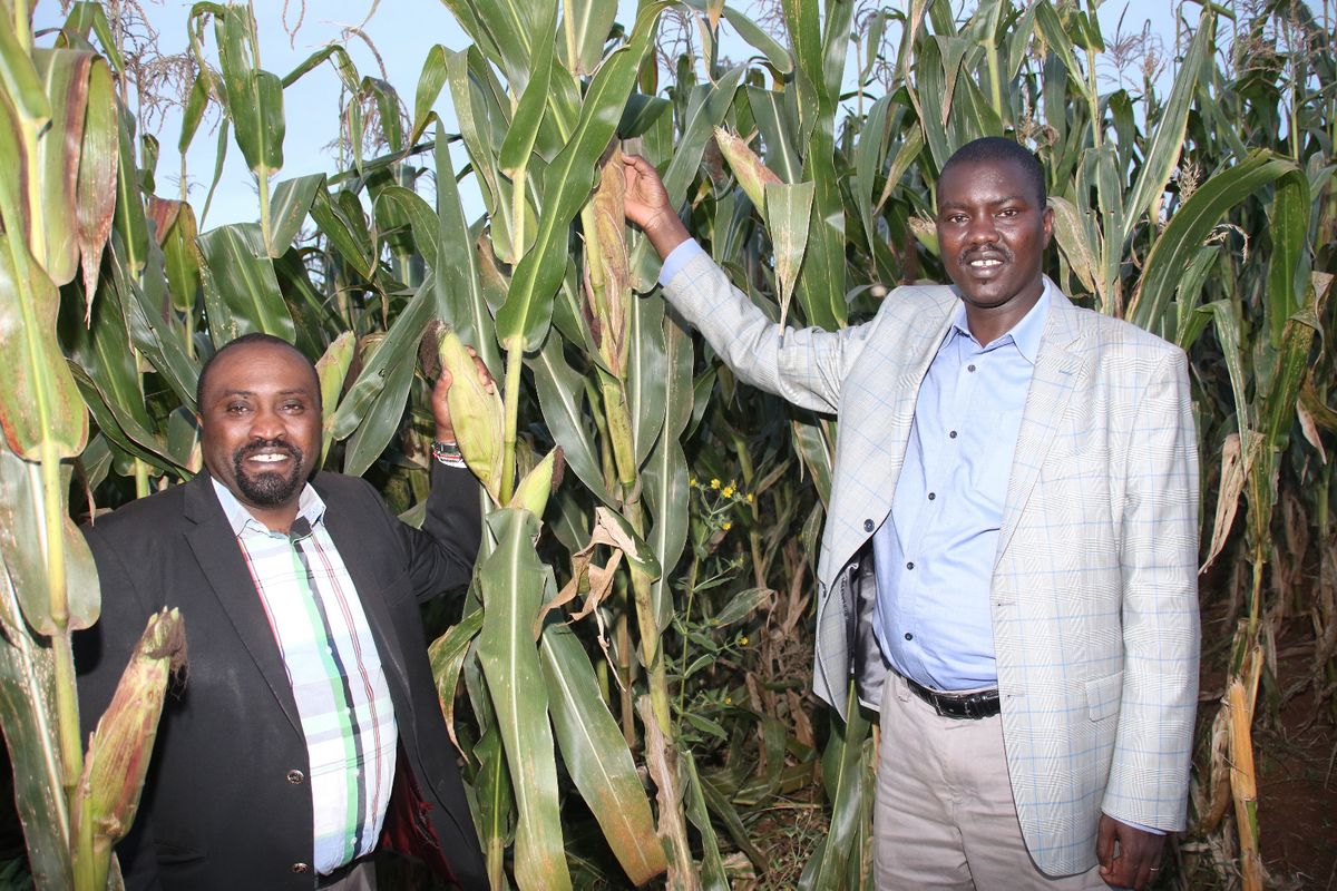 Meet the man behind Mandago's success