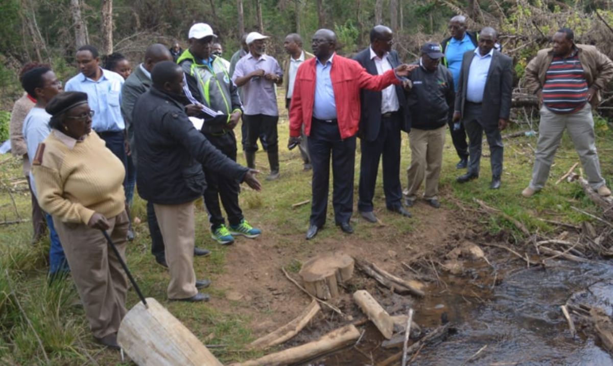 Mount Kenya rivers faces licence abstraction