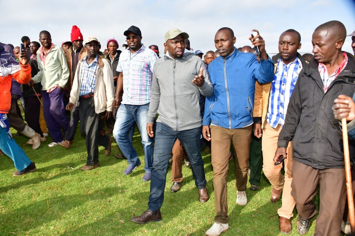 2 senators fronted by Jubilee to replace Murkomen in Senate