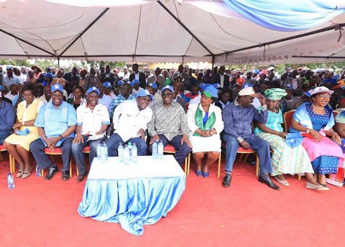 Revealed: Top 5 most popular Kamba politicians in 2017