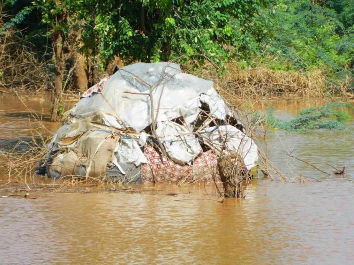 Farmers in Garissa counting loses after heavy rains