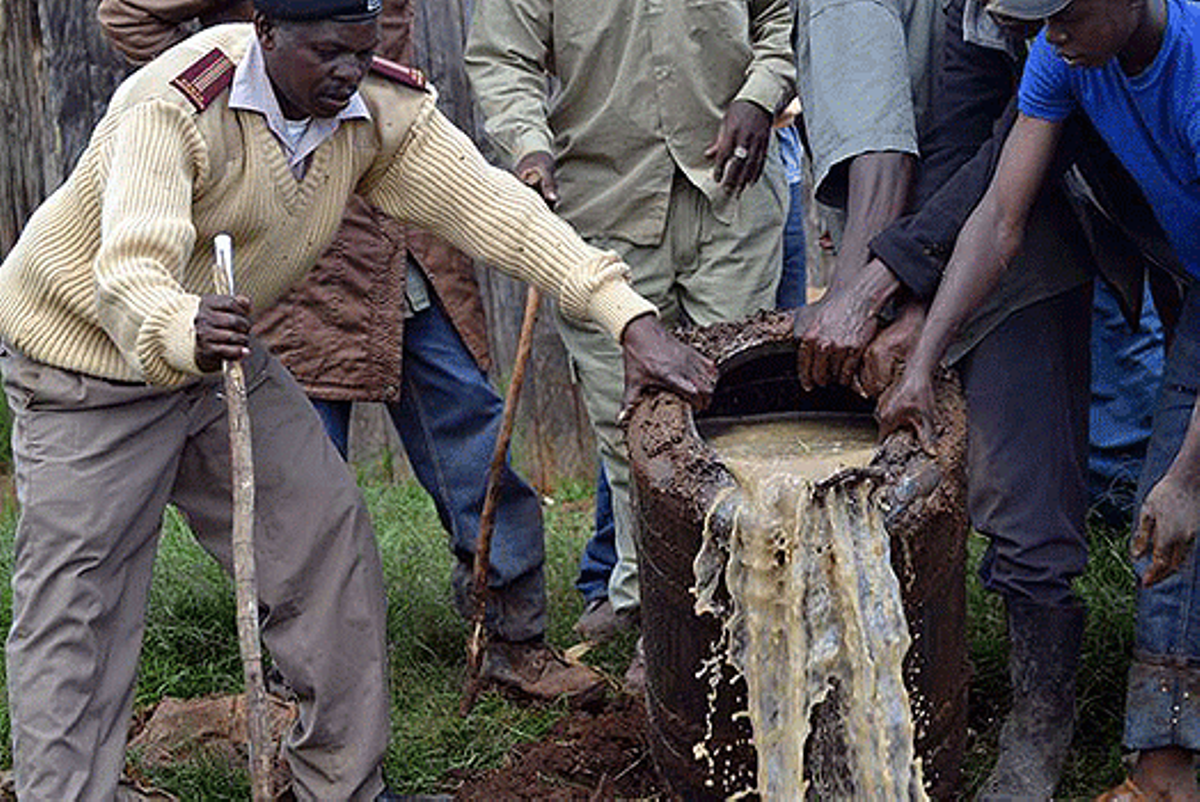 Why illicit brews are mostly sold in Central Kenya