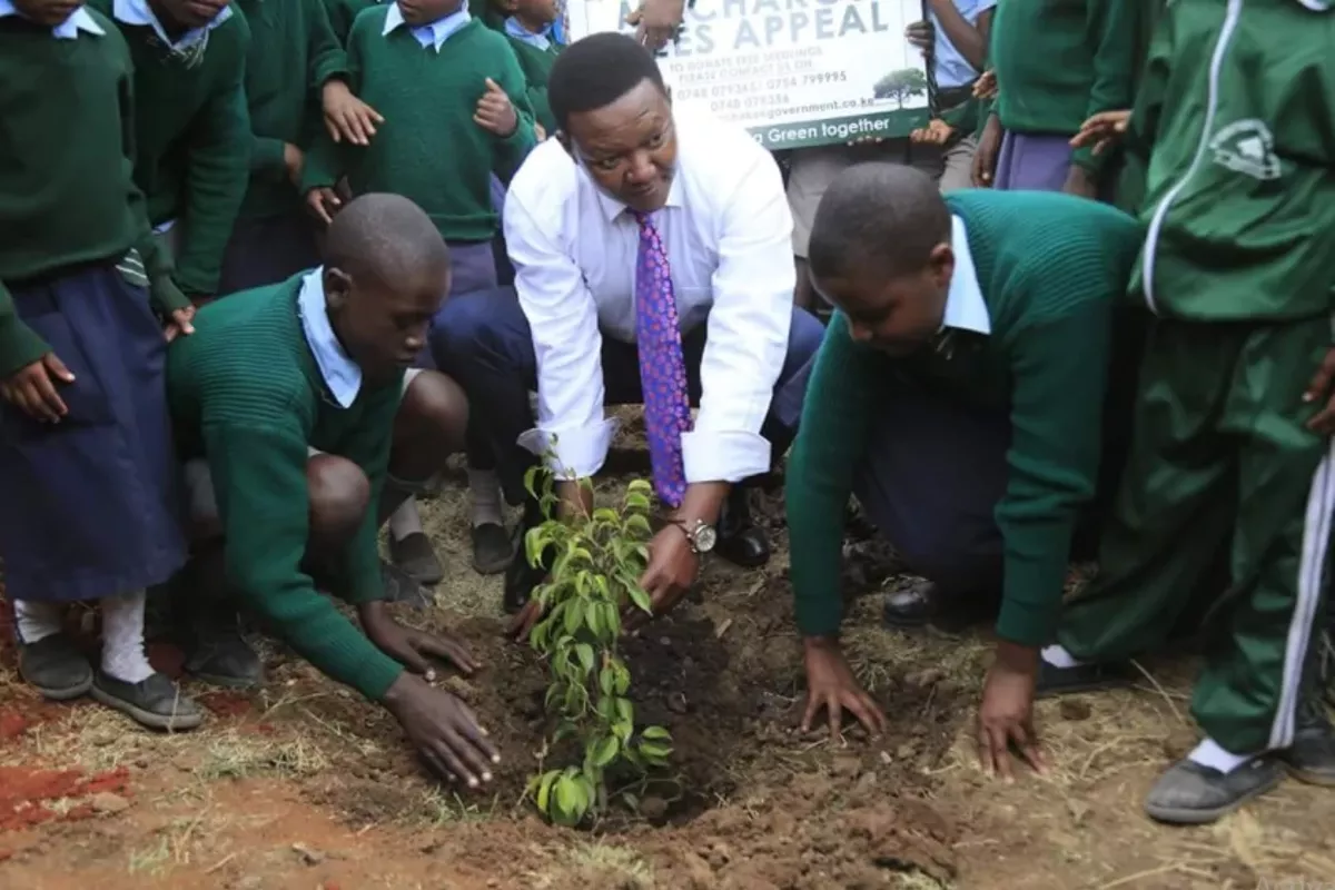 Family Bank launches tree planting program in Machakos County