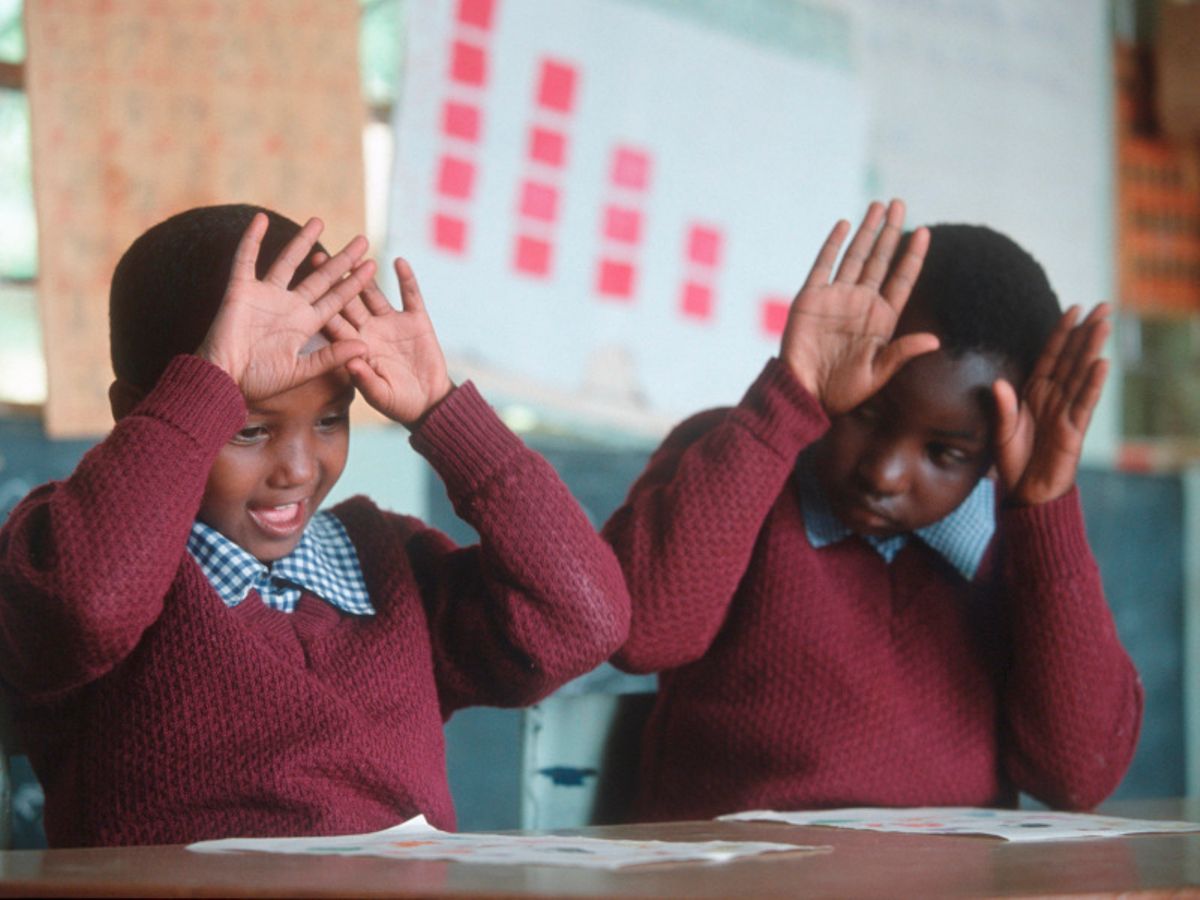 Introduce sign language education in schools, counties told
