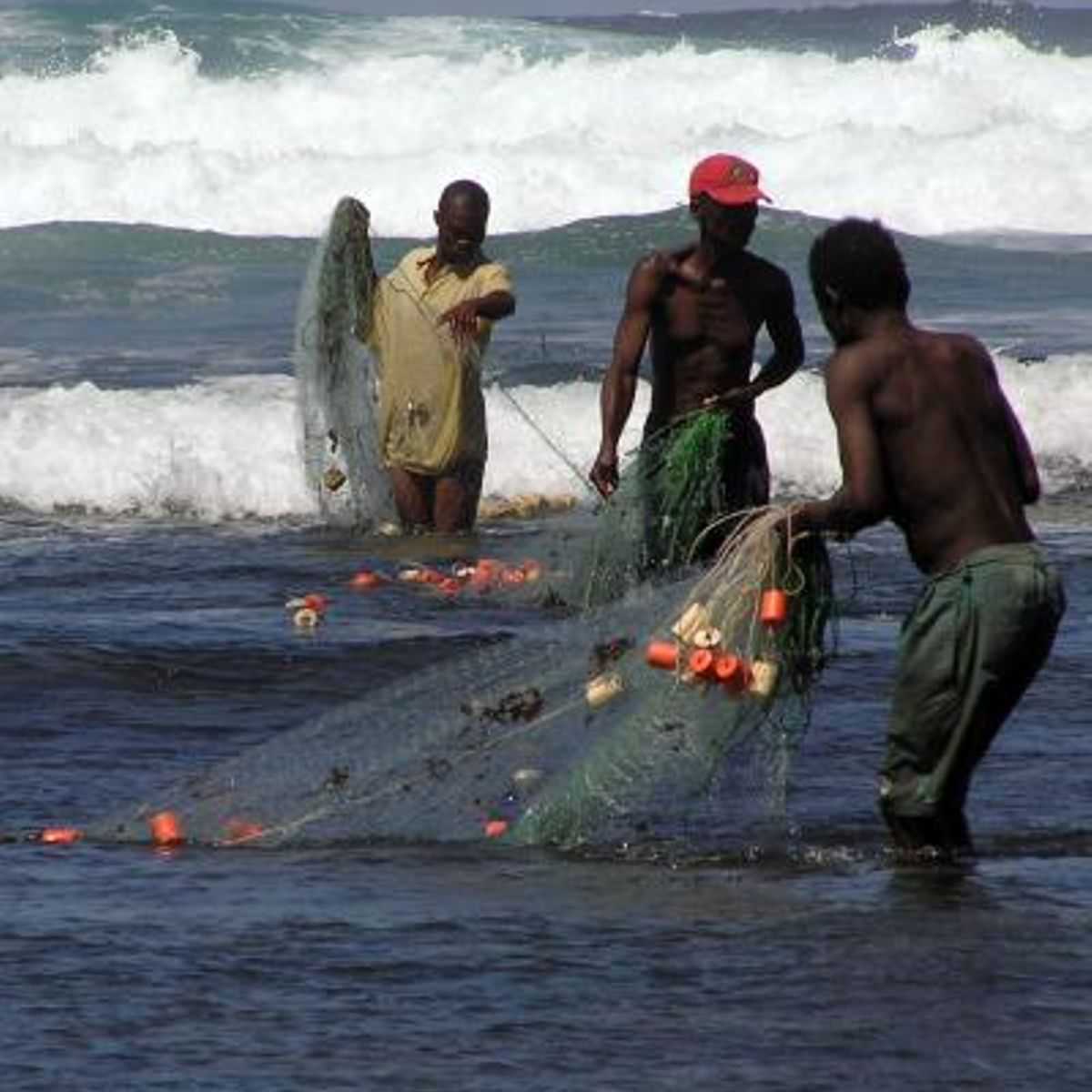 Government set to upgrade fish facilities