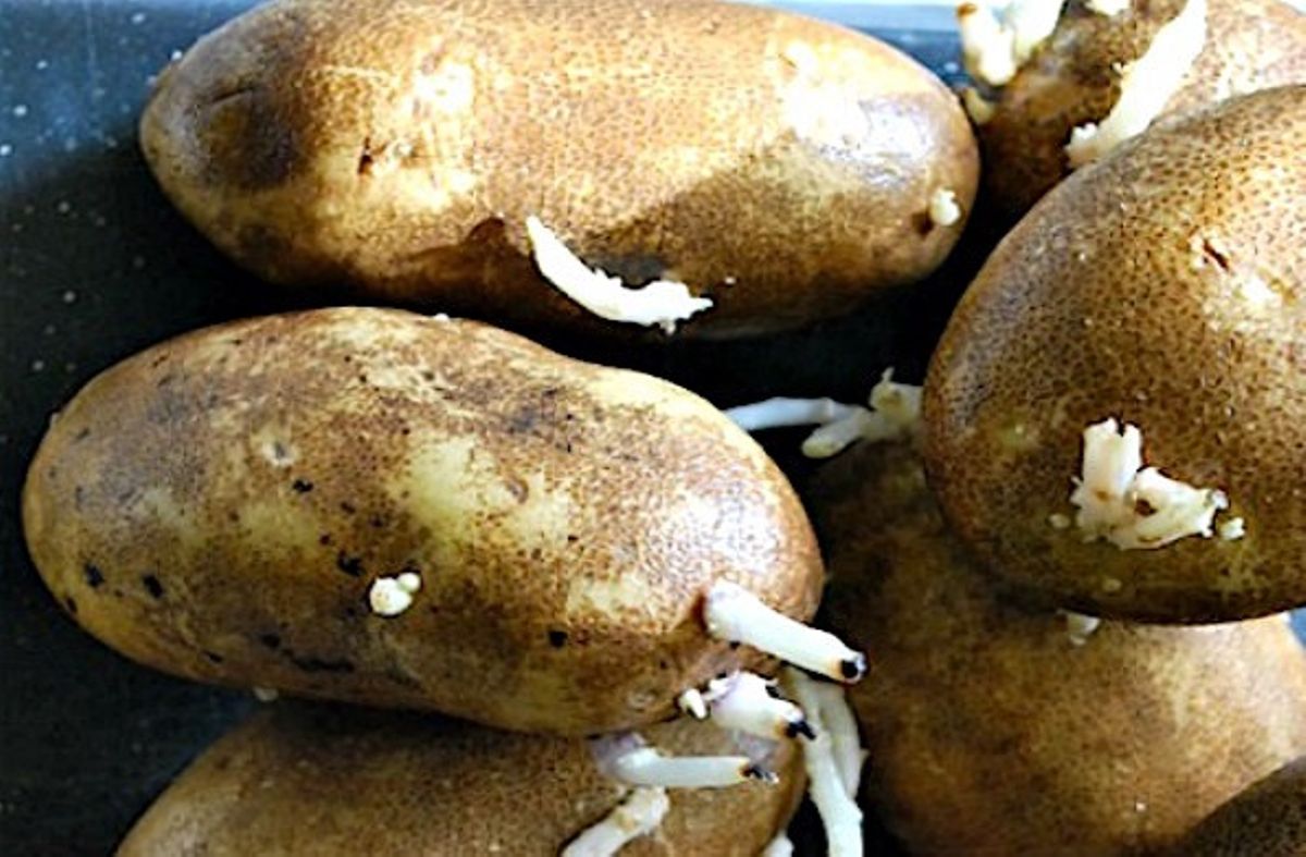 Four deadly foods you probably have in your kitchen