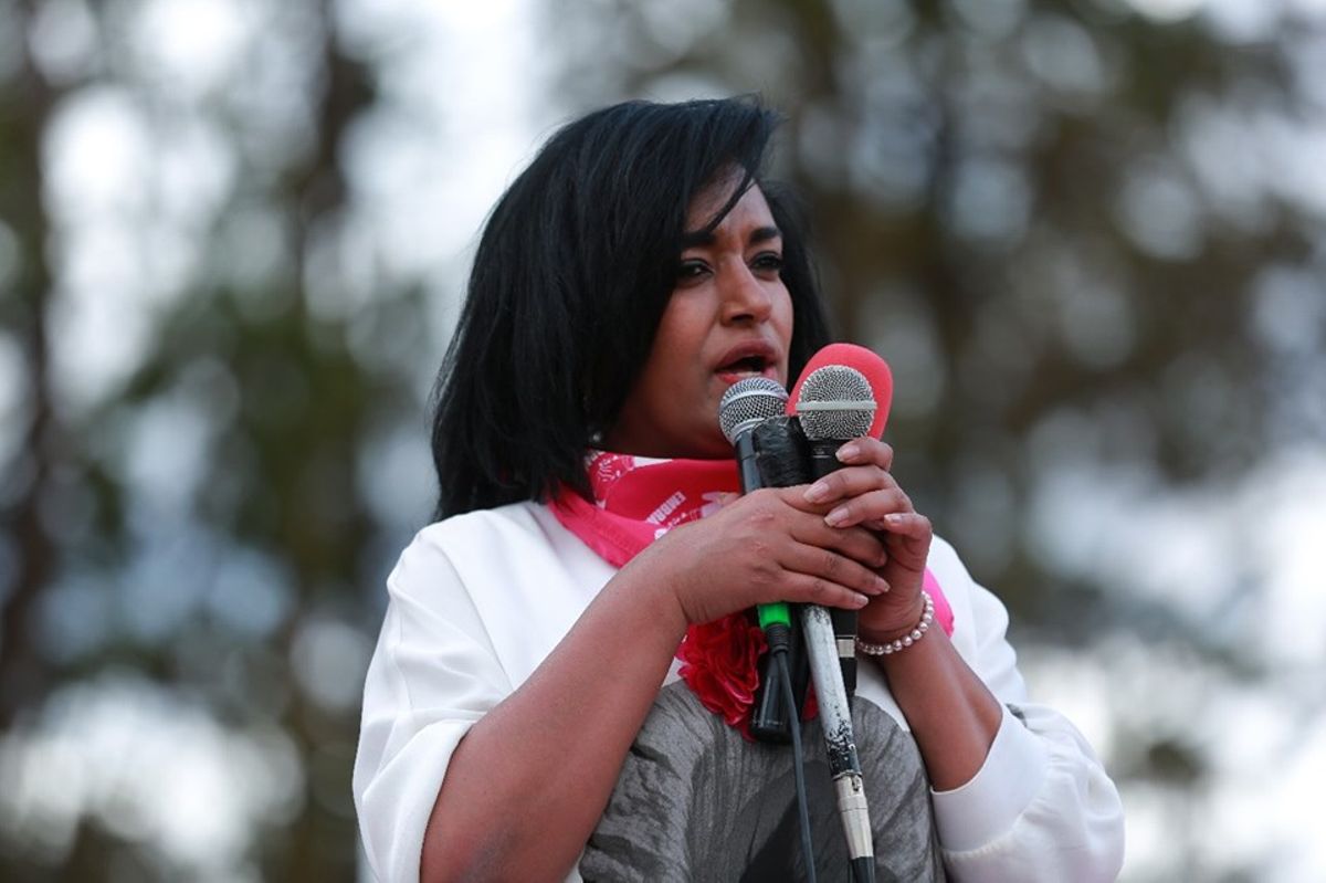 Passaris protests against low cash allocation to women reps