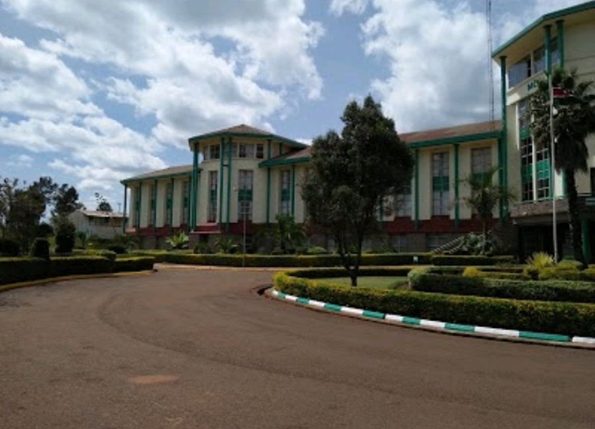 Why you should consider studying at Moi University